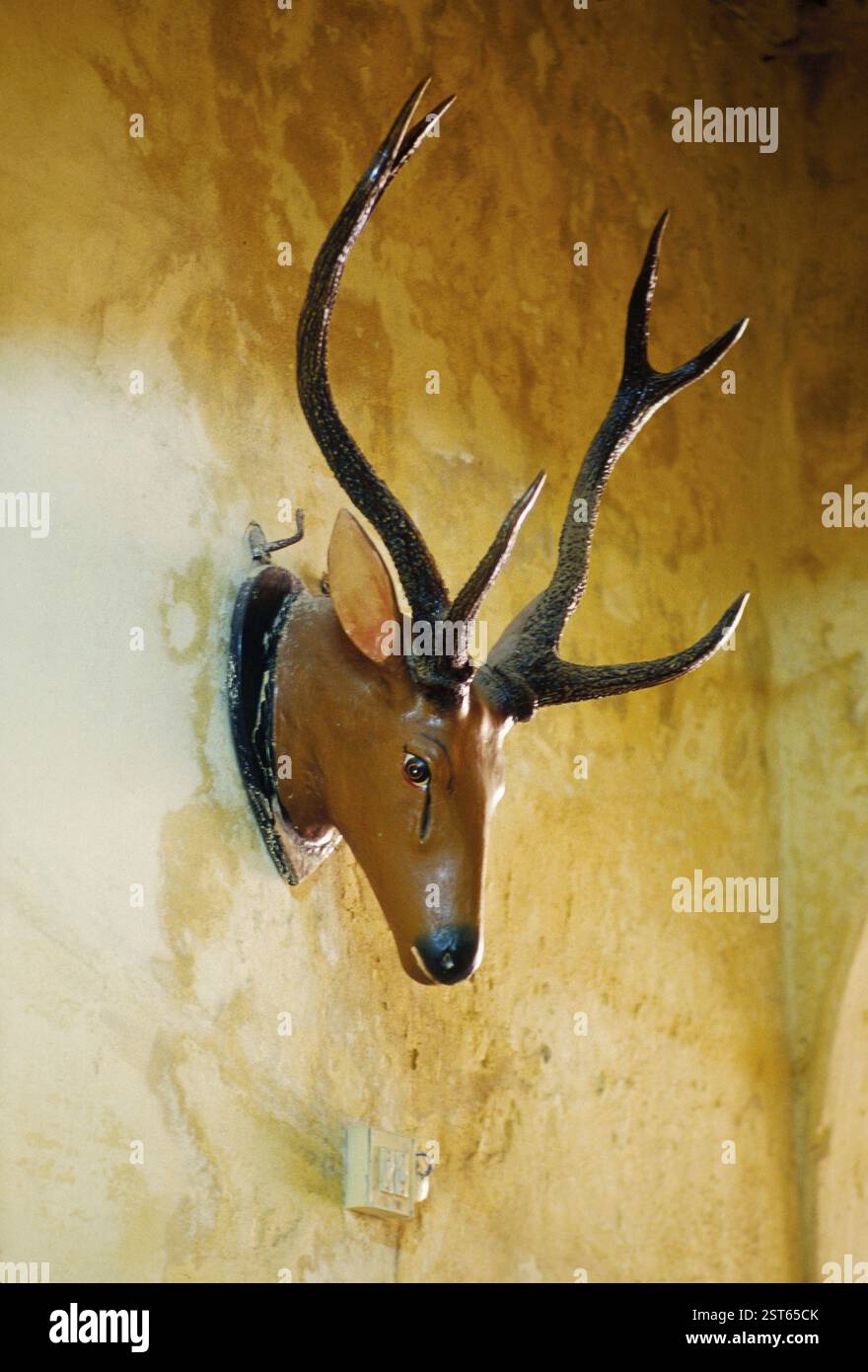 Deer Statue, Tanjore Palace Museum, Tanjavur, Tamil nadu, india Stock ...