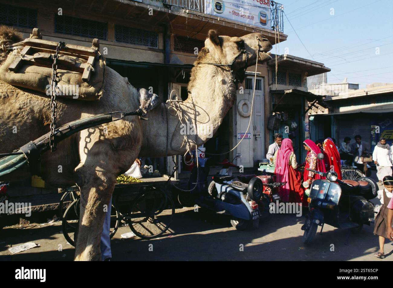 Barmer rajasthan hi-res stock photography and images - Alamy