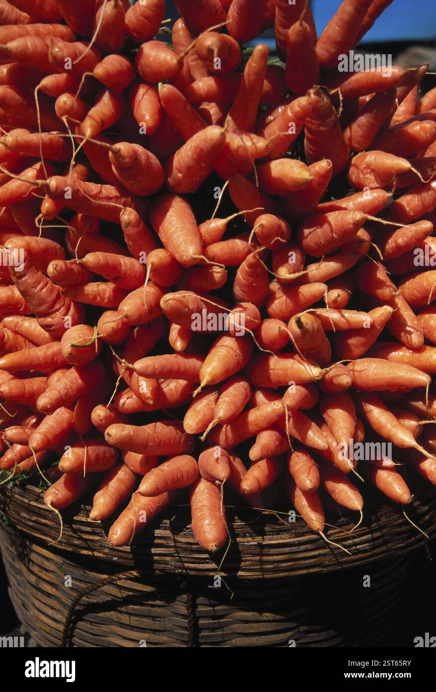 Vegetable, carrots, india Stock Photo - Alamy
