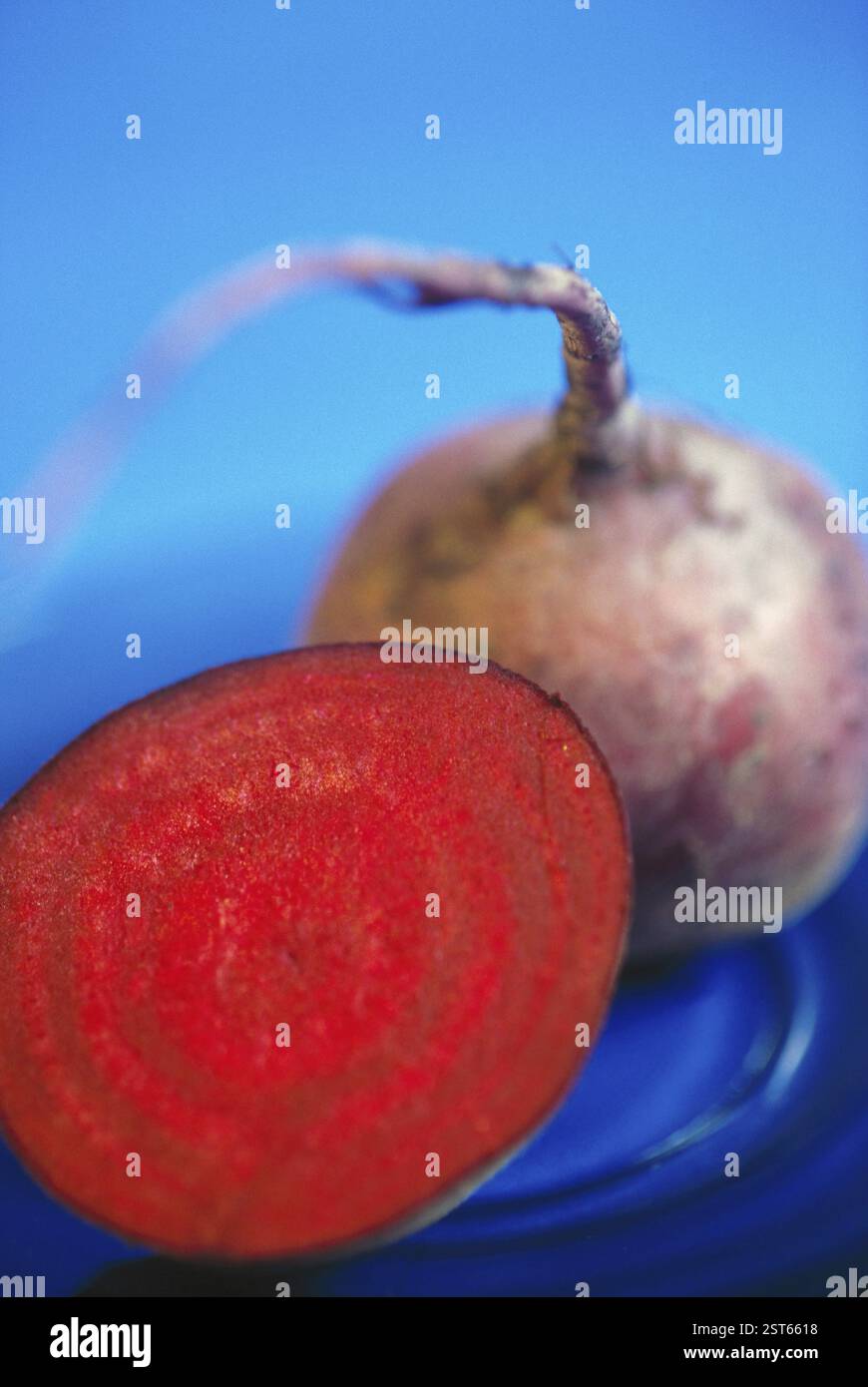 Vegetable, beet root, fleshy root stem, india Stock Photo - Alamy