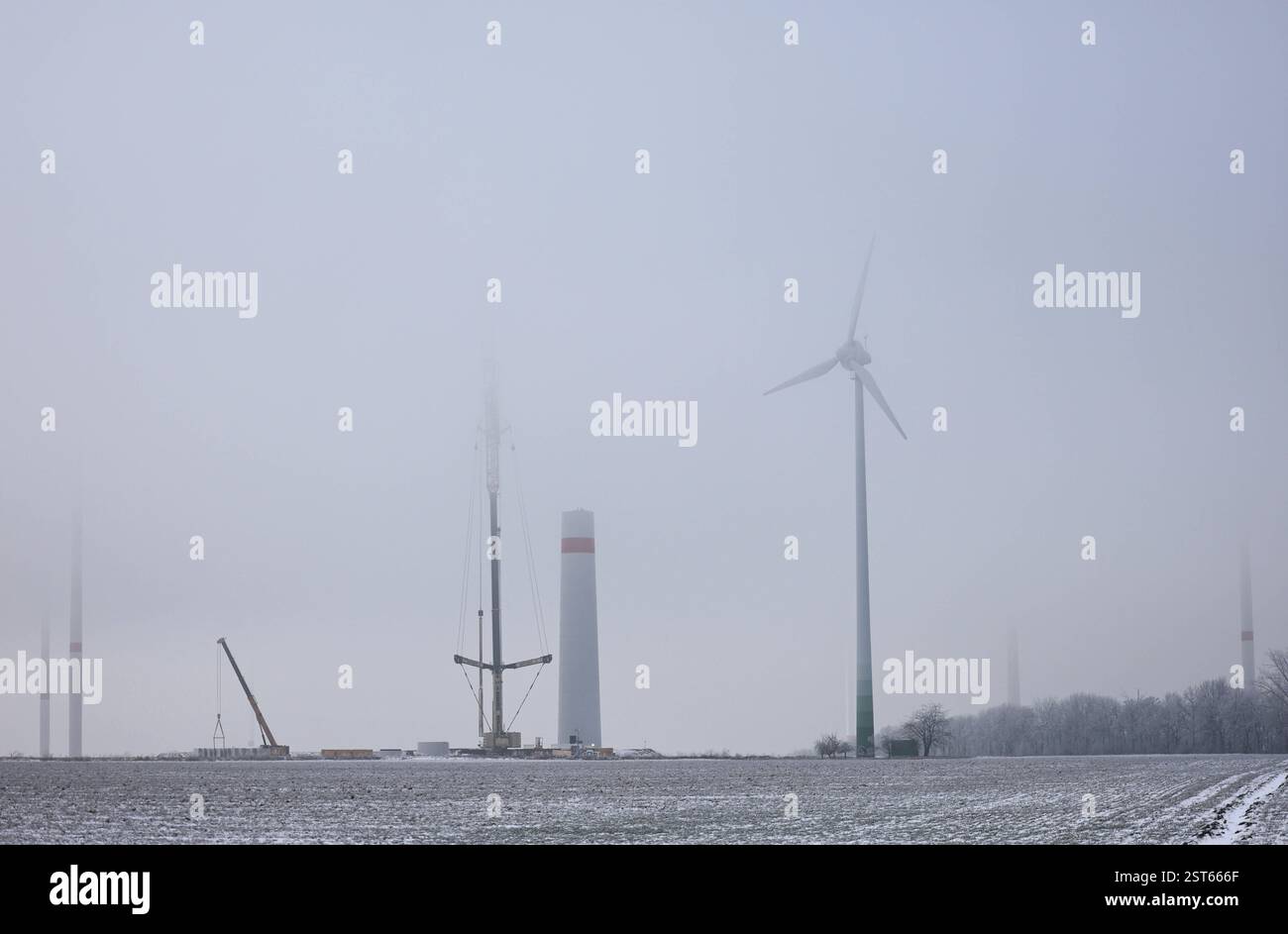 Windpark 17.02.2025, Bachra, im Windpark werden neue Windkraftanlagen ...