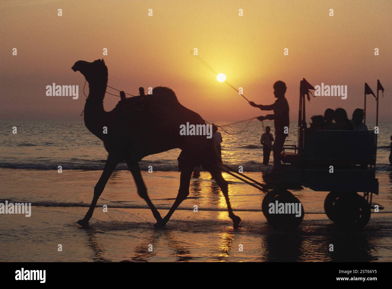 Indian carriage in bombay hi-res stock photography and images - Alamy