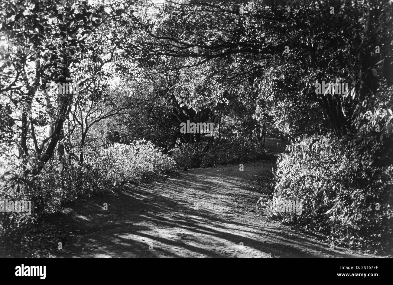 Multiple paths through landscape hi-res stock photography and images ...