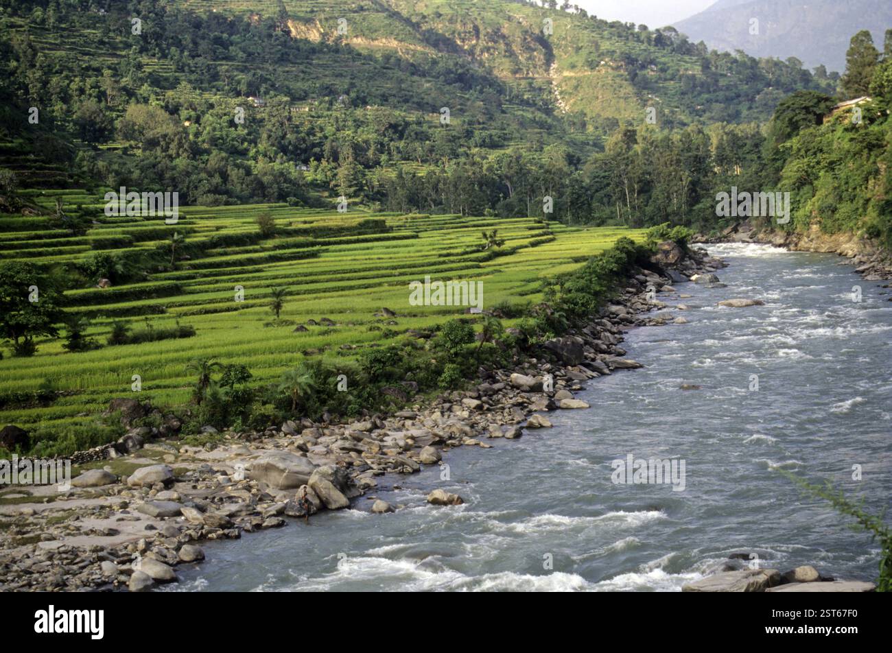 Mandakini river, Garhwal, uttaranchal, india Stock Photo - Alamy