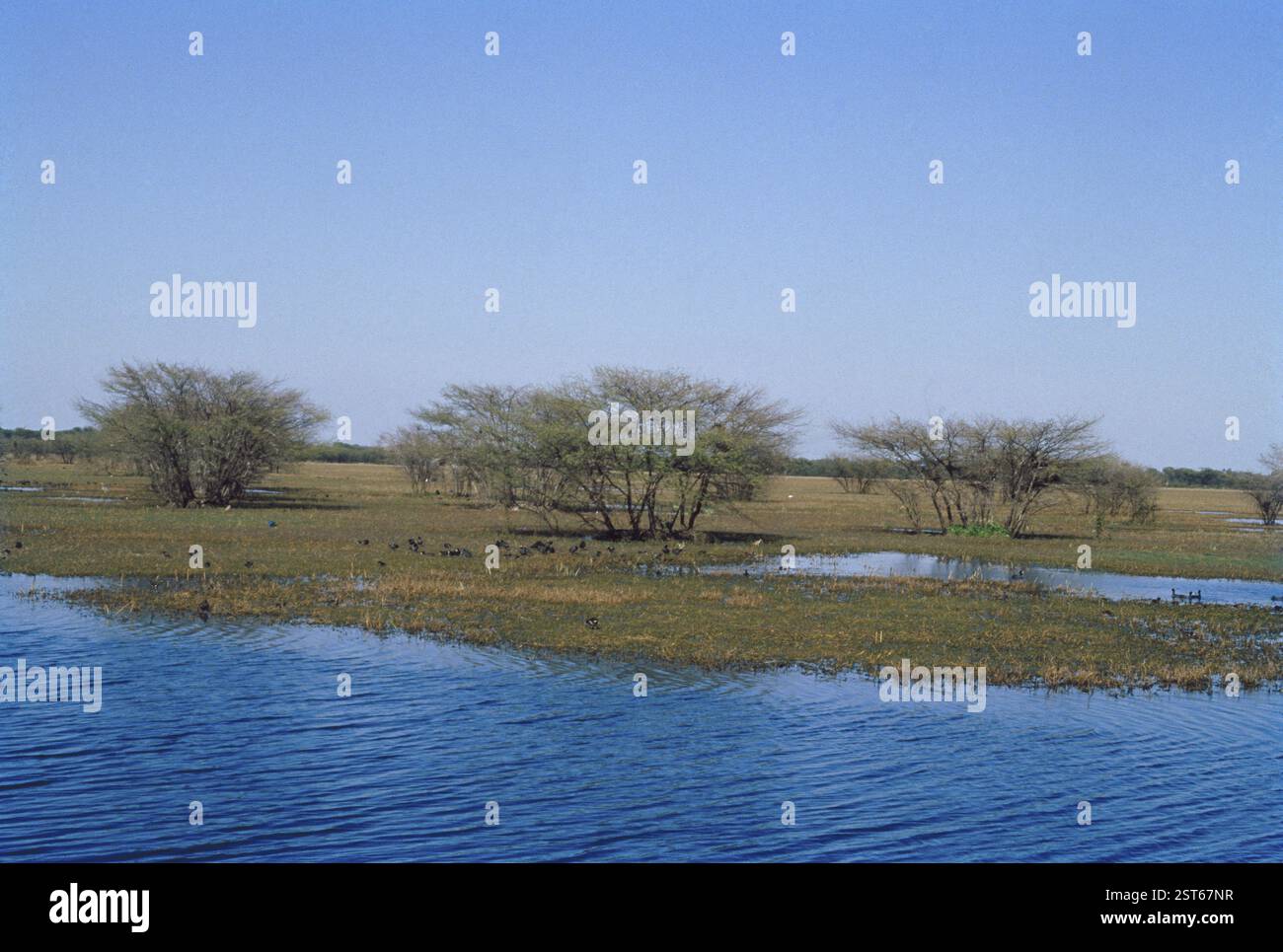 Lake, rajasthan, india Stock Photo - Alamy