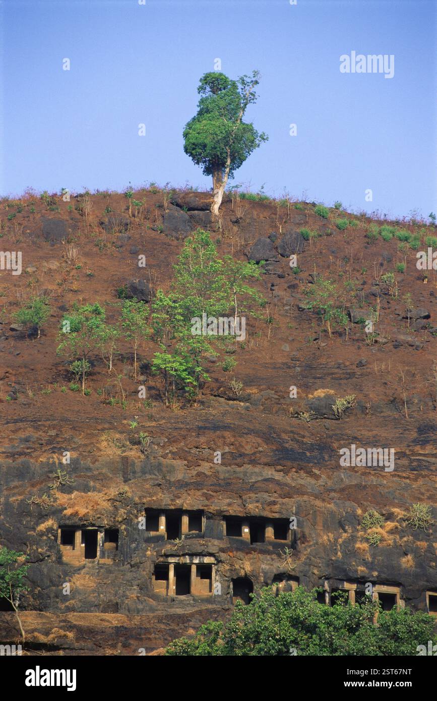 Buddhist caves at Village Gandharpale, Mahad, Maharashtra, India, Asia ...