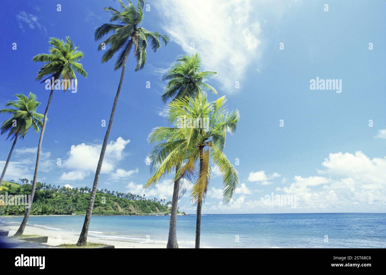 Beach, Andaman Islands, India, Asia Stock Photo - Alamy
