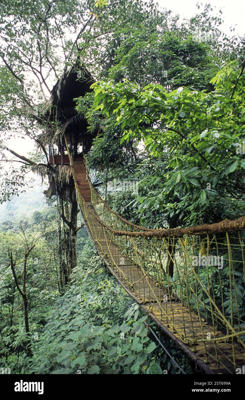 Resort on tree top, green magic nature resort at lakkidi, wayanad ...
