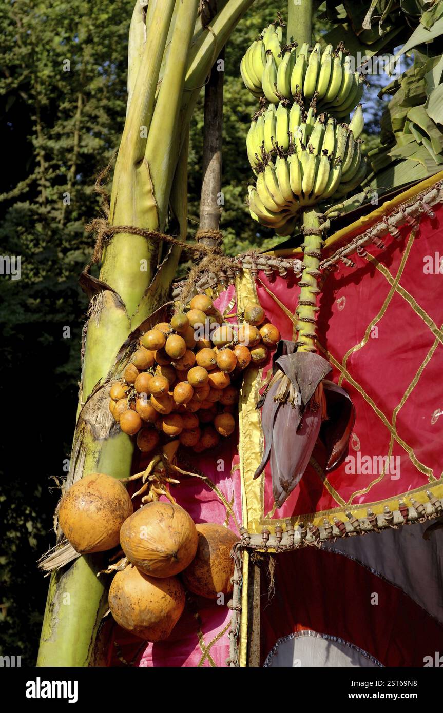 Fruits banana coconuts offerings during Ayyappa Pooja, Kerala, India ...