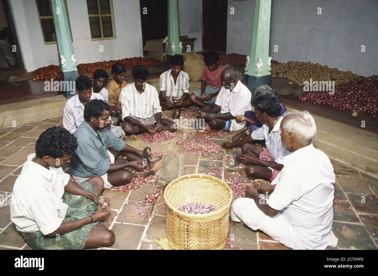 Onions cut in the age-old manner for chettinad wedding, tamil nadu ...