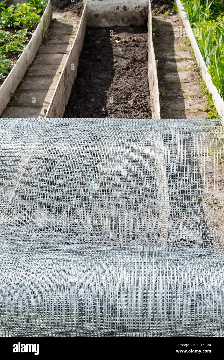 Metal netting against rodents. The mesh protects root crops from mice ...