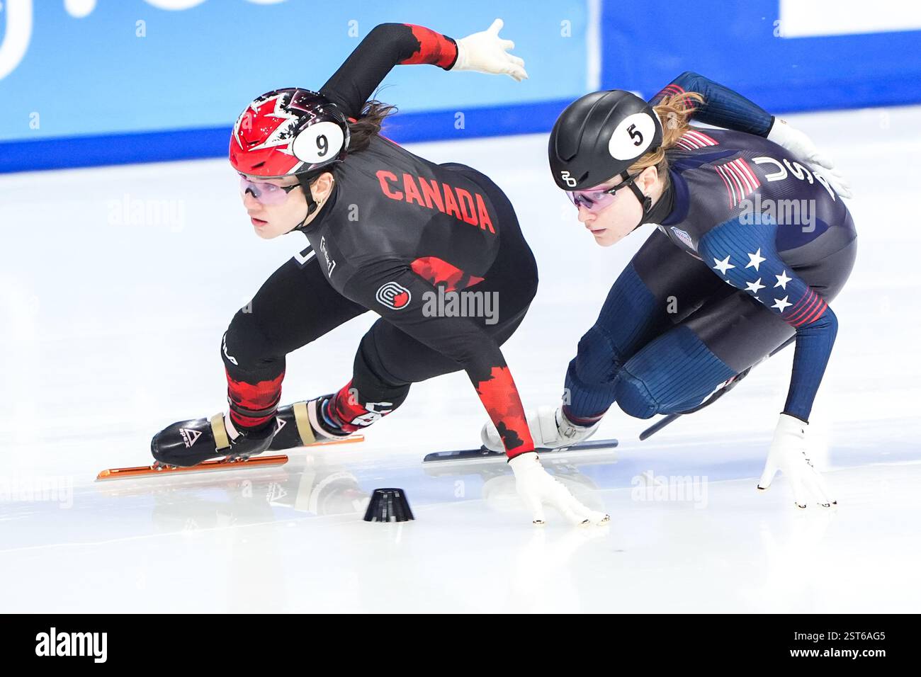 Courtney stoddard hi-res stock photography and images - Alamy