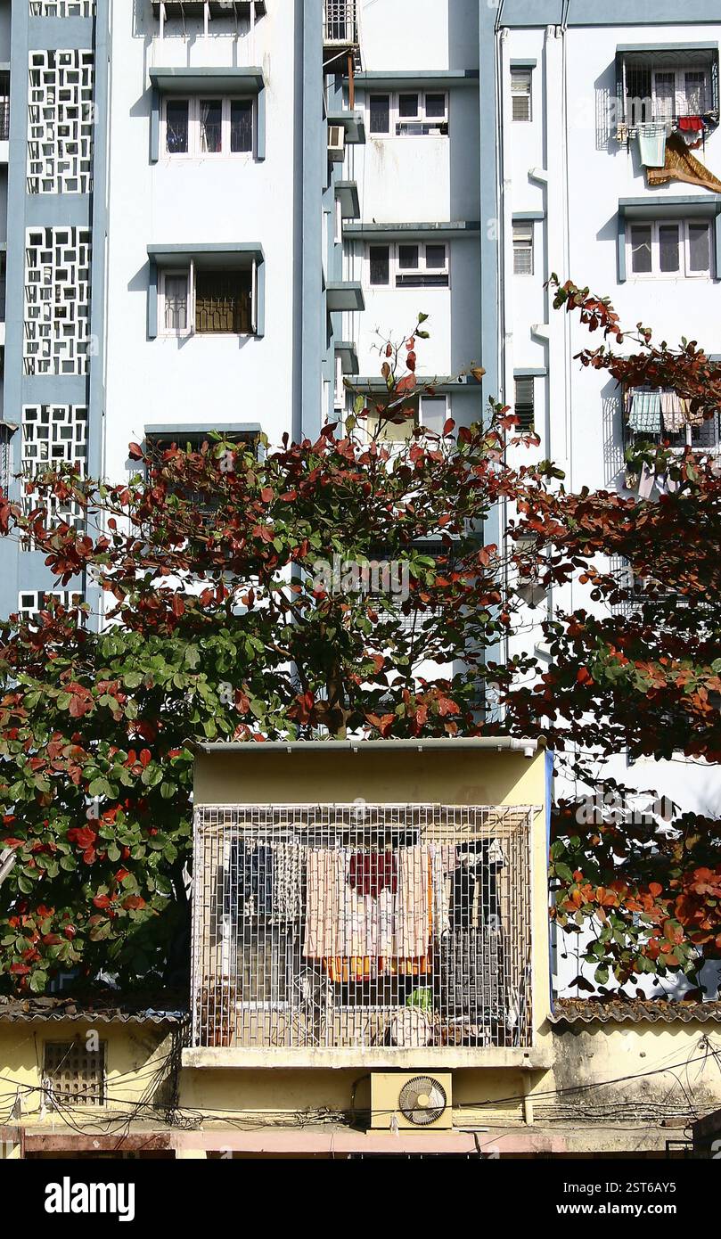 Indian urban living, lonely room on first floor with backdrop of tree ...