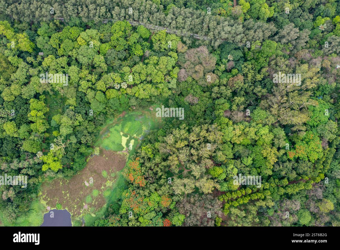 A stunning aerial view of the National Botanical Garden, showcasing lush greenery and serene ...