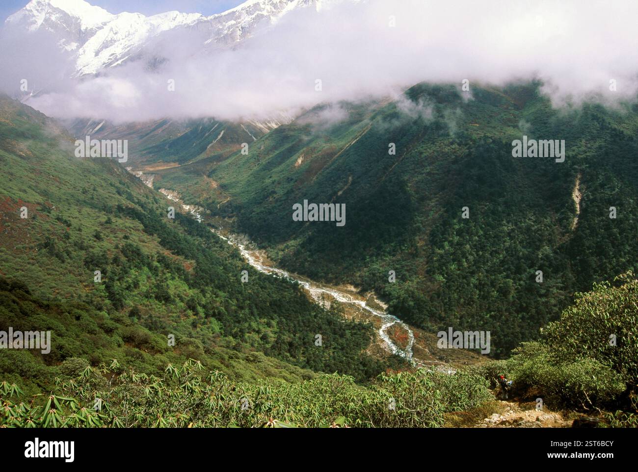 River flowing, thanksgiving 12400 height, sikkim, india Stock Photo - Alamy