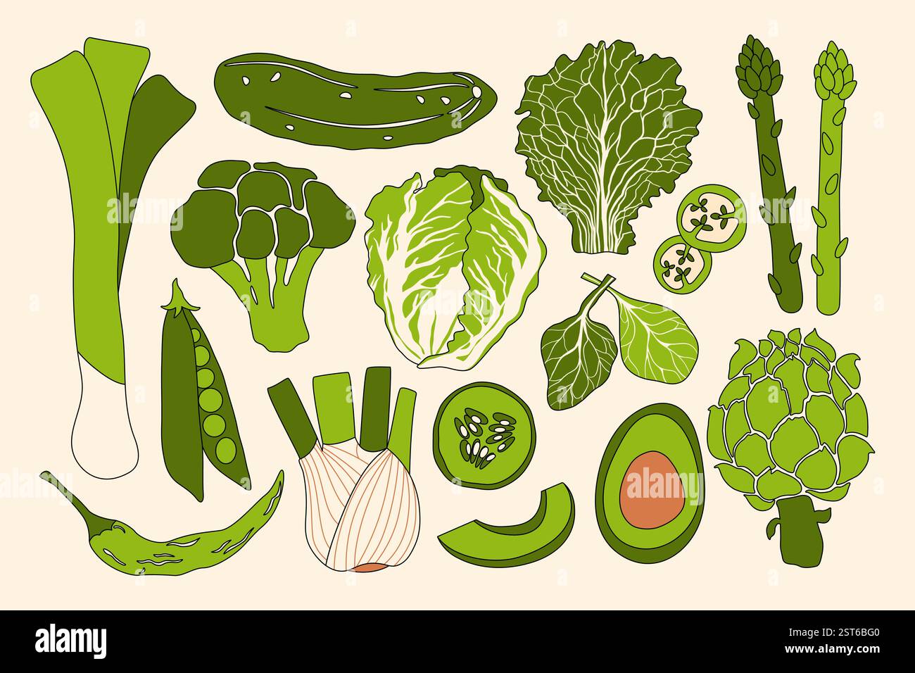 Green vegetable set. Fresh vegetables, organic food with cartoon ...