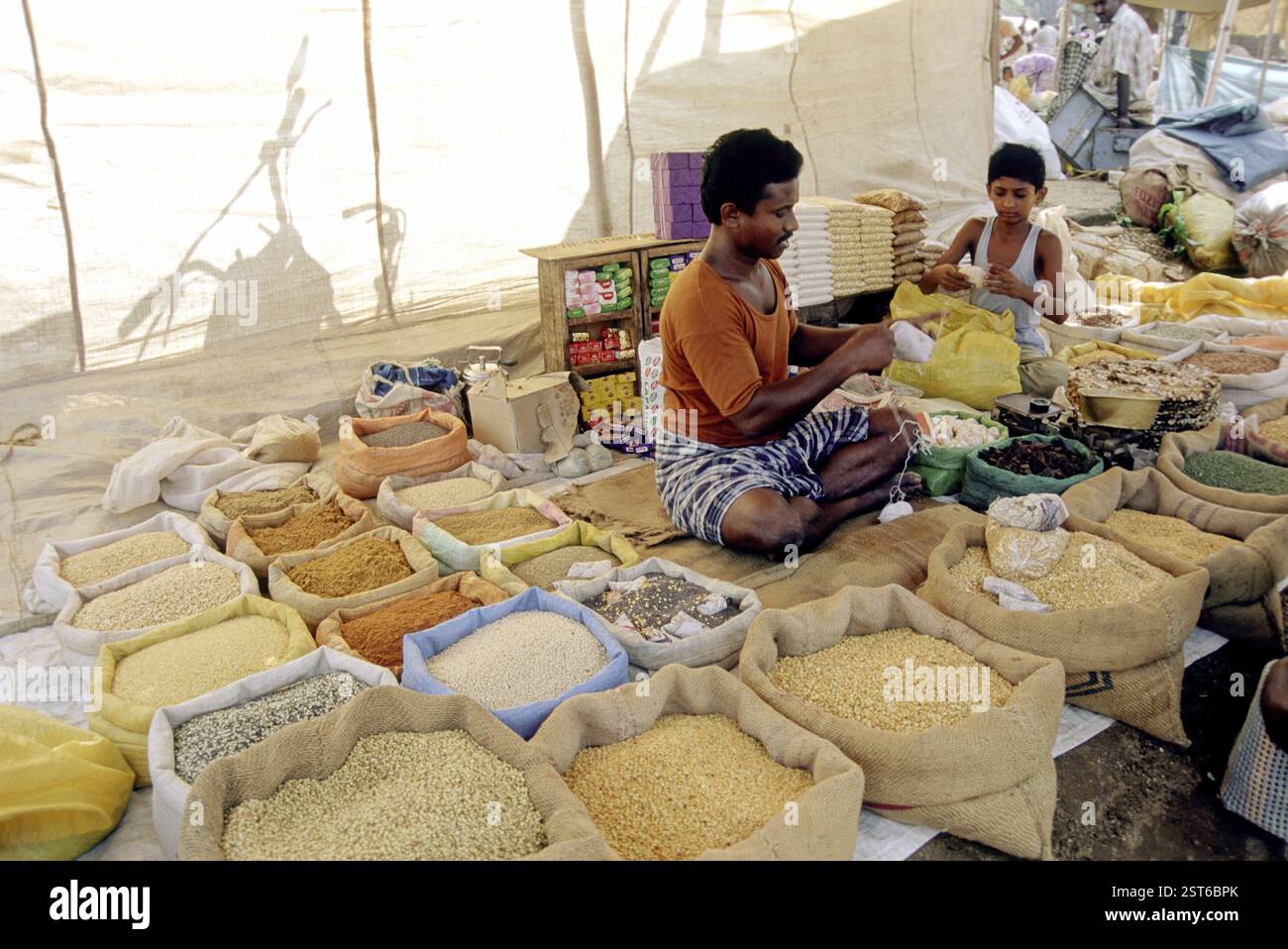 Fruits, food, Amla Gooseberry (Therapeutic Phyllanthus), herbal Herb ...