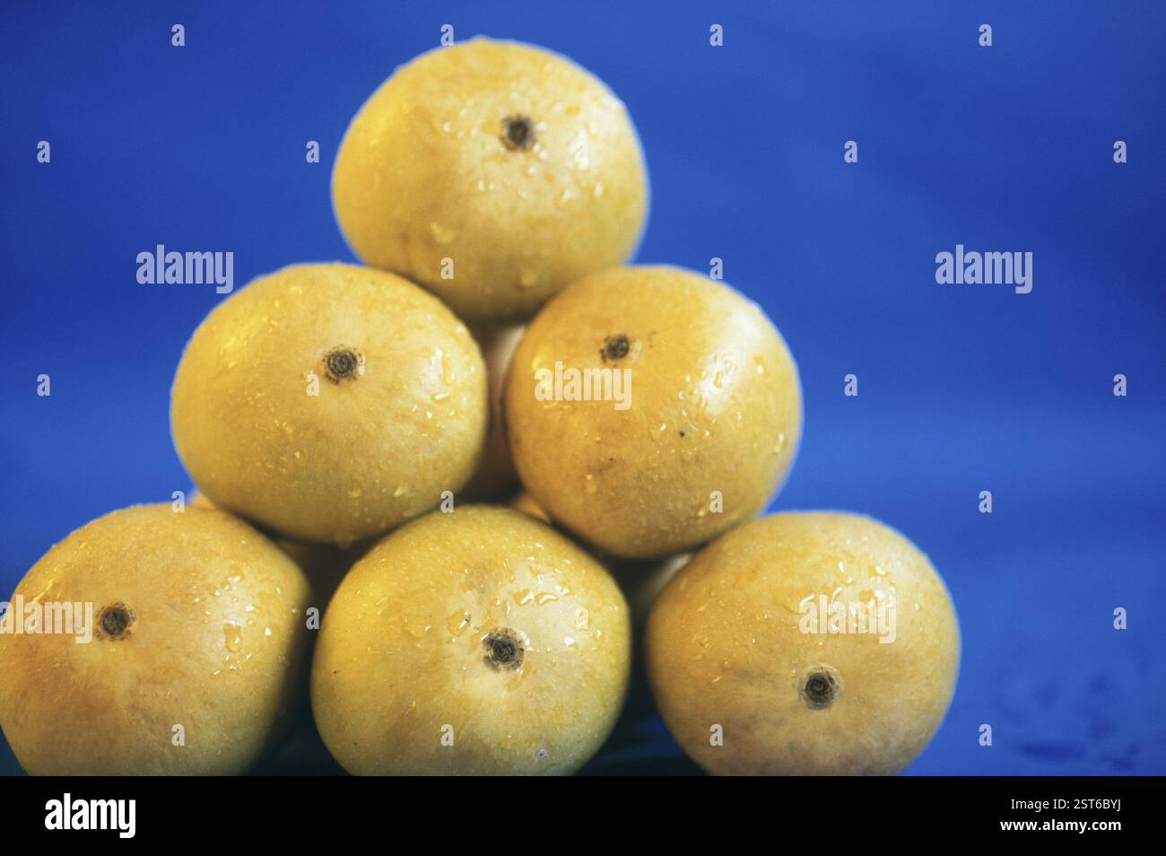 Fruits, Water drops on Alphanso Mangoes on tabletop Stock Photo - Alamy