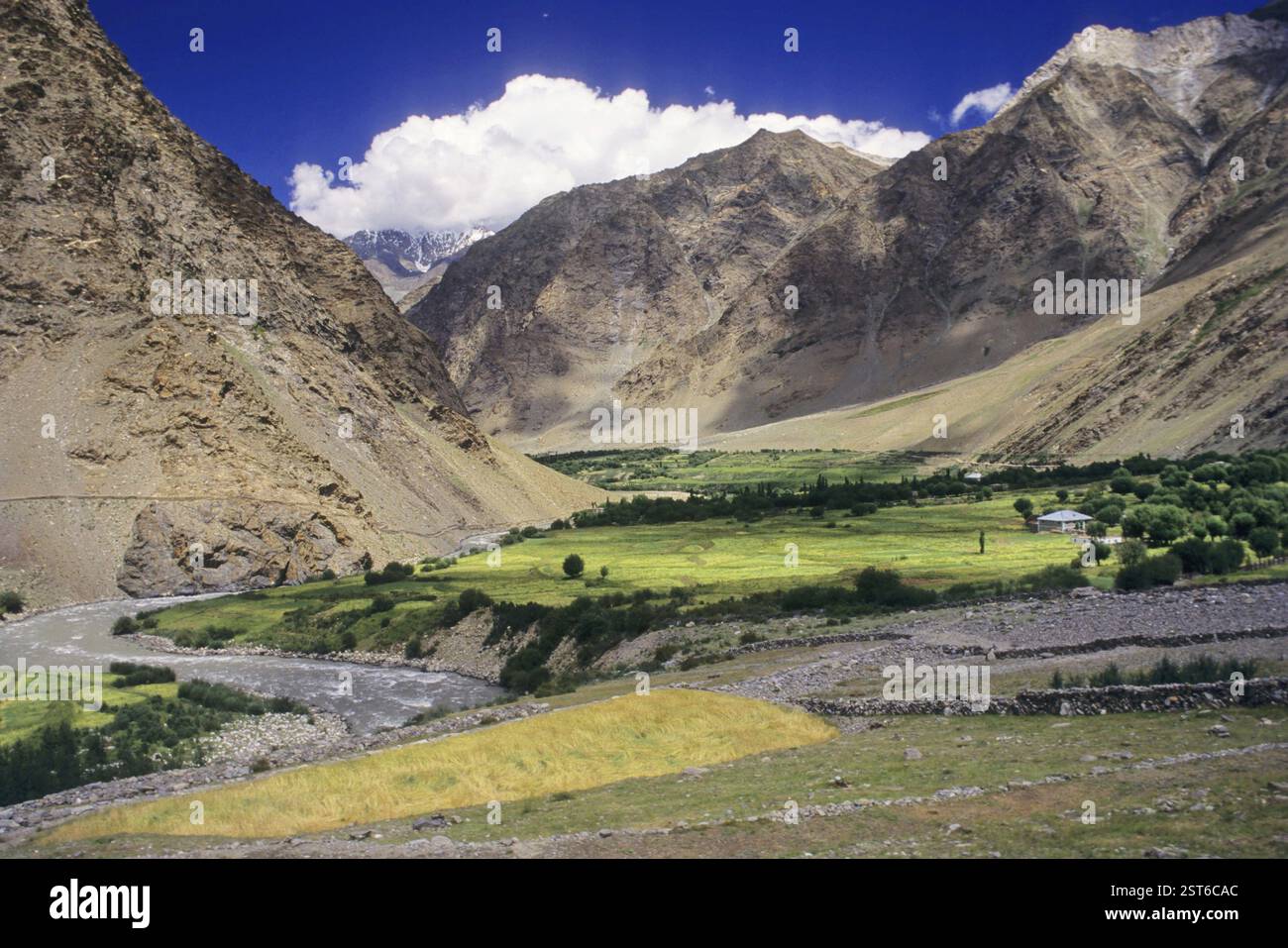Suru Valley, Ladakh, Jammu & Kashmir, India, Asia Stock Photo - Alamy