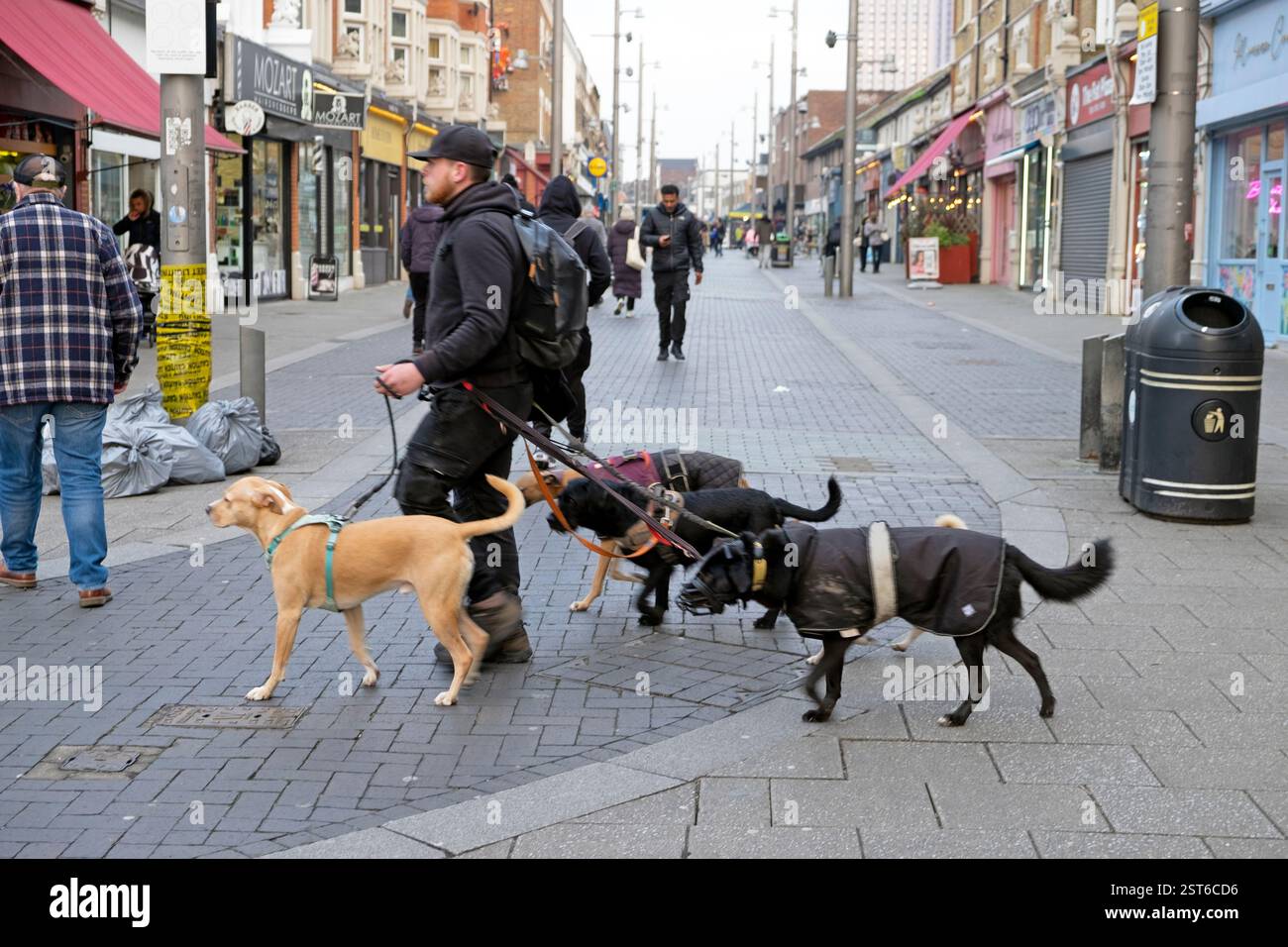 Person walking dog outside hi-res stock photography and images - Alamy