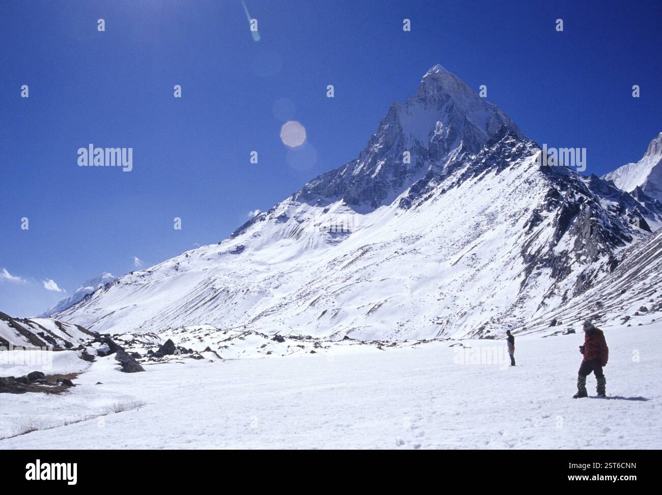Trekkers on snow, Tapovan, Gangotri, Himalaya, Uttaranchal, India, Asia ...