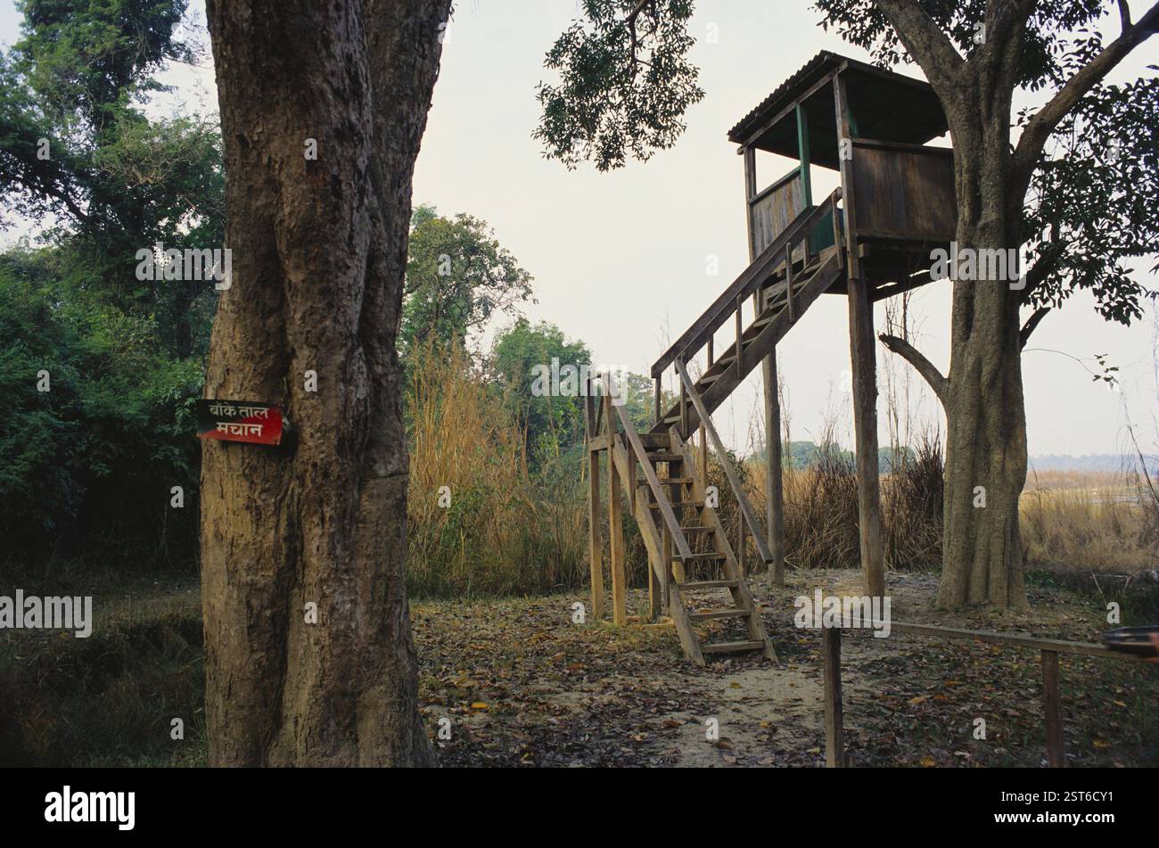 Machan hi-res stock photography and images - Alamy