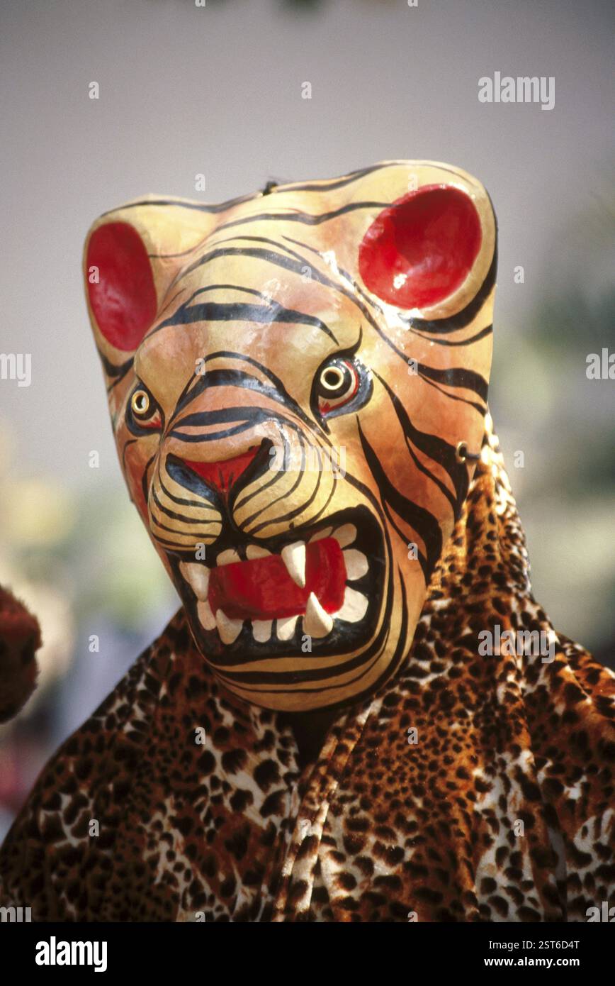 Tiger mask hi-res stock photography and images - Alamy