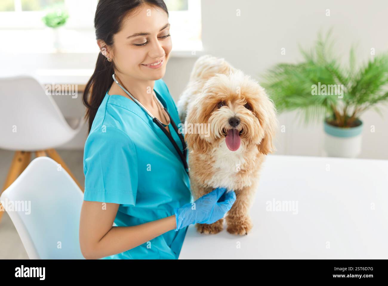 Smiling millennial female vet doctor wearing medical uniform ...