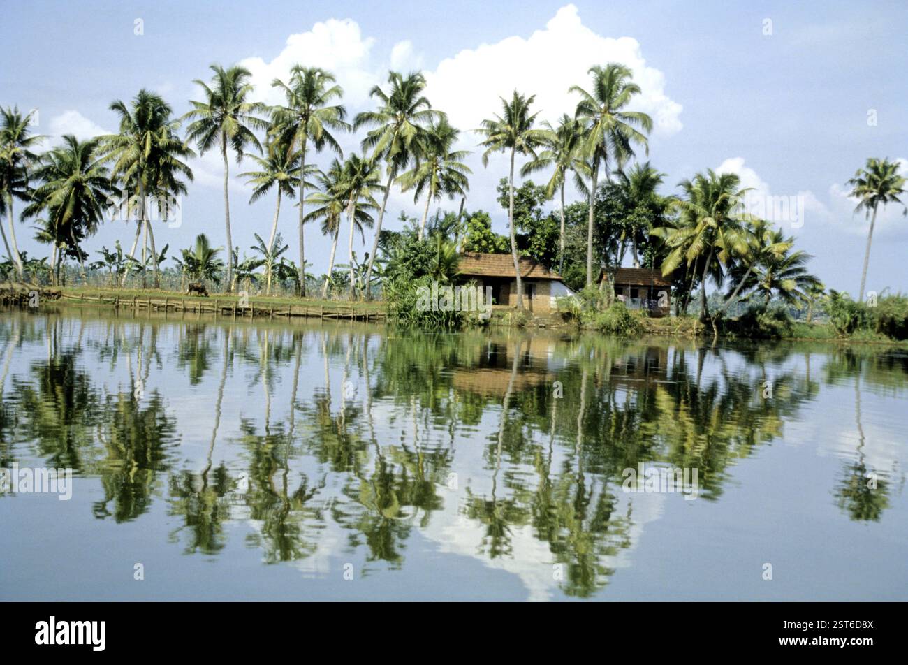 Backwater in Alappuzha (alleppey), kerala, india Stock Photo - Alamy