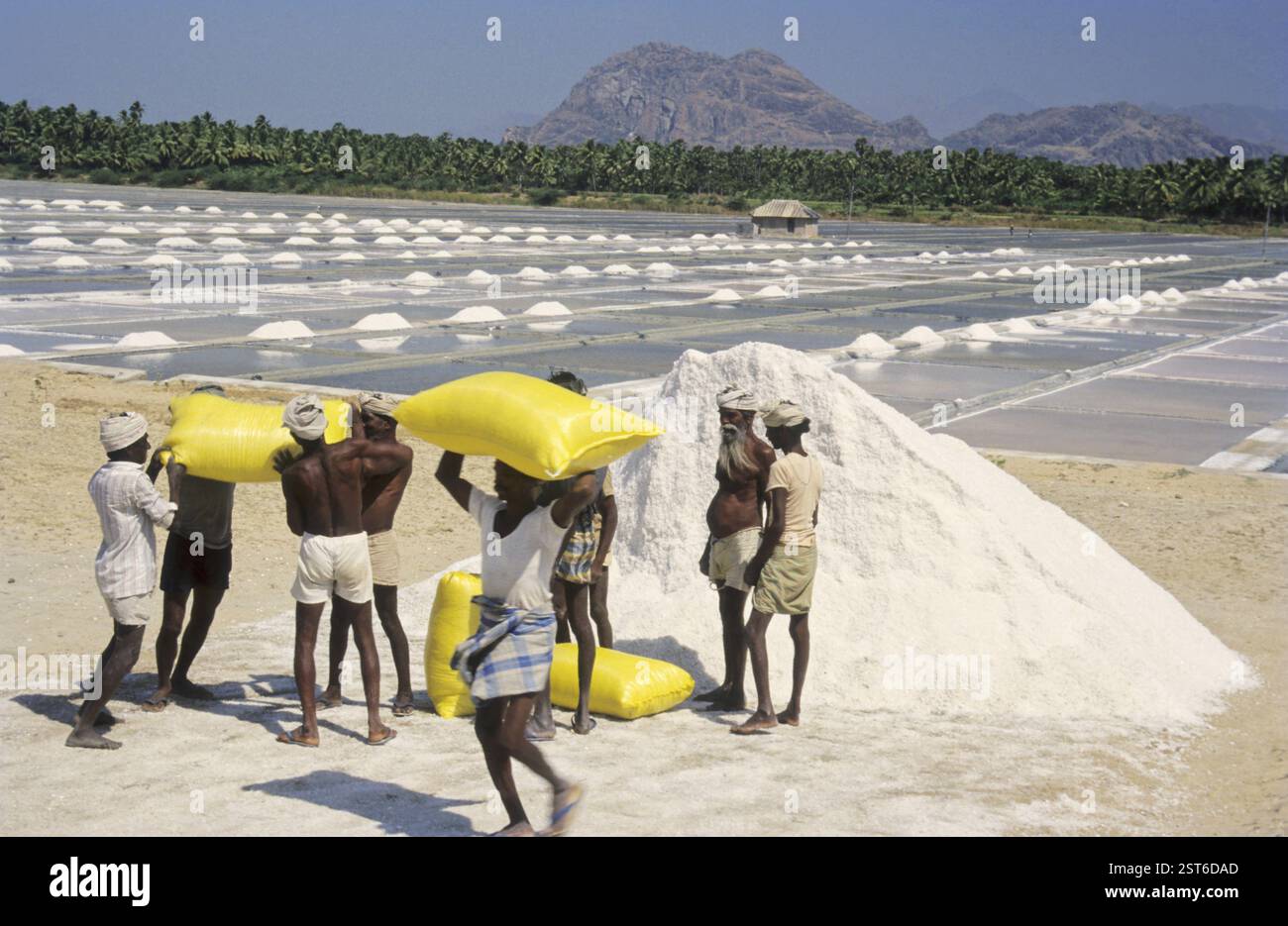 Salt additives hi-res stock photography and images - Alamy