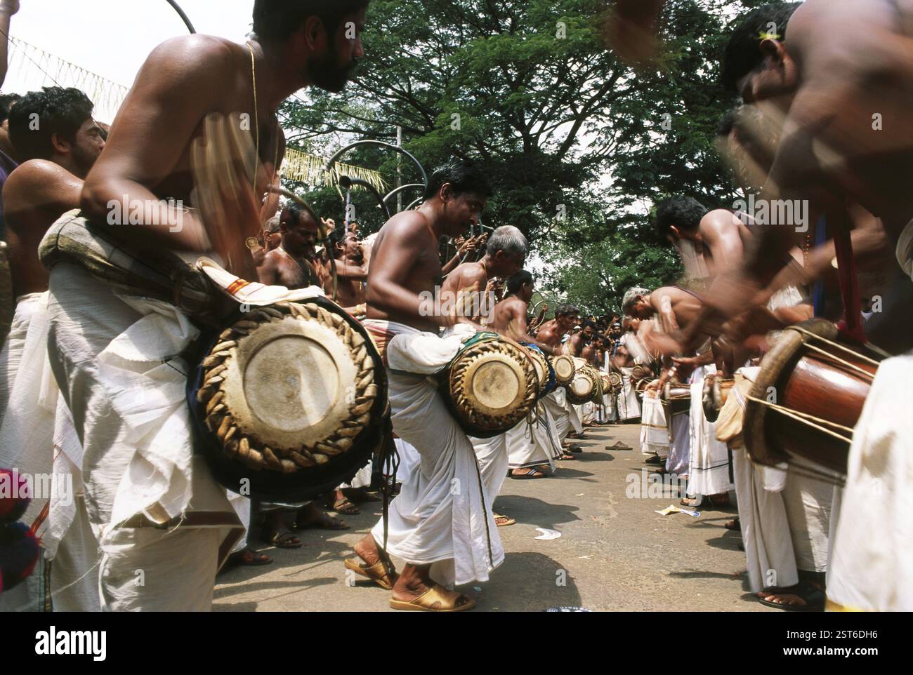 Musicians in Trichurpooram pooram festival procession, (trichur ...