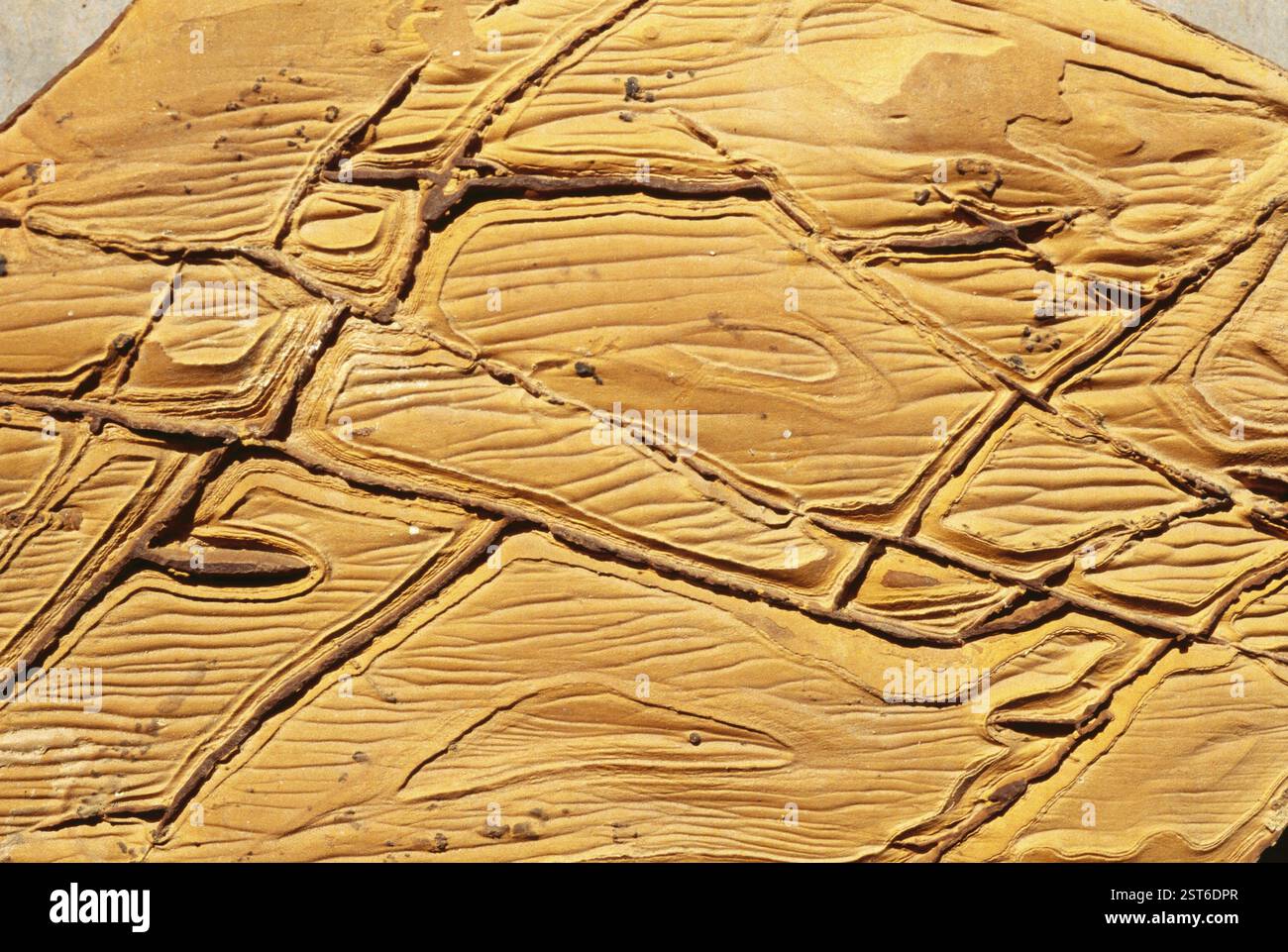 Fossilized stone form, vithon, kutch, gujarat, india Stock Photo - Alamy
