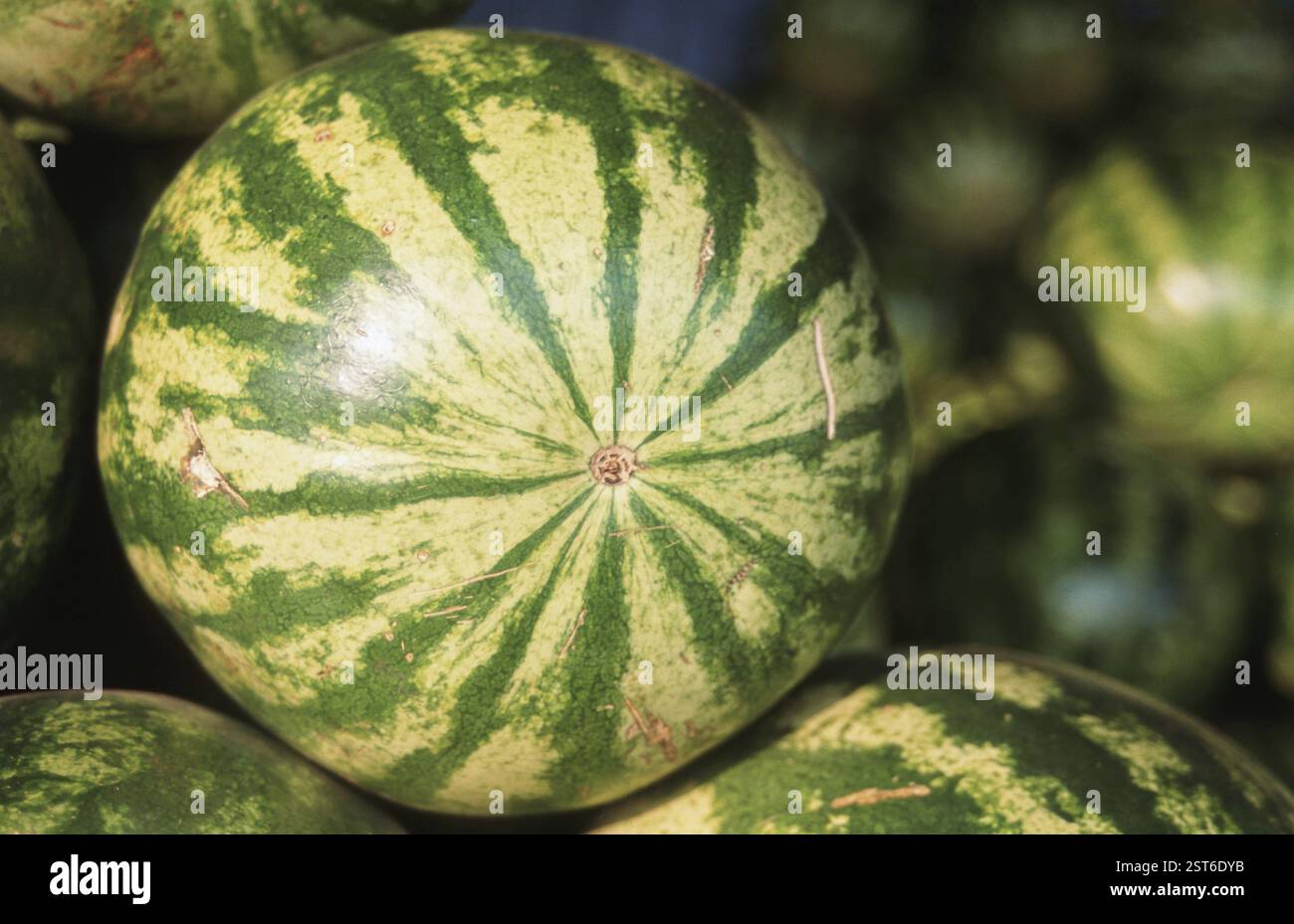Fruits - Watermelons Stock Photo - Alamy