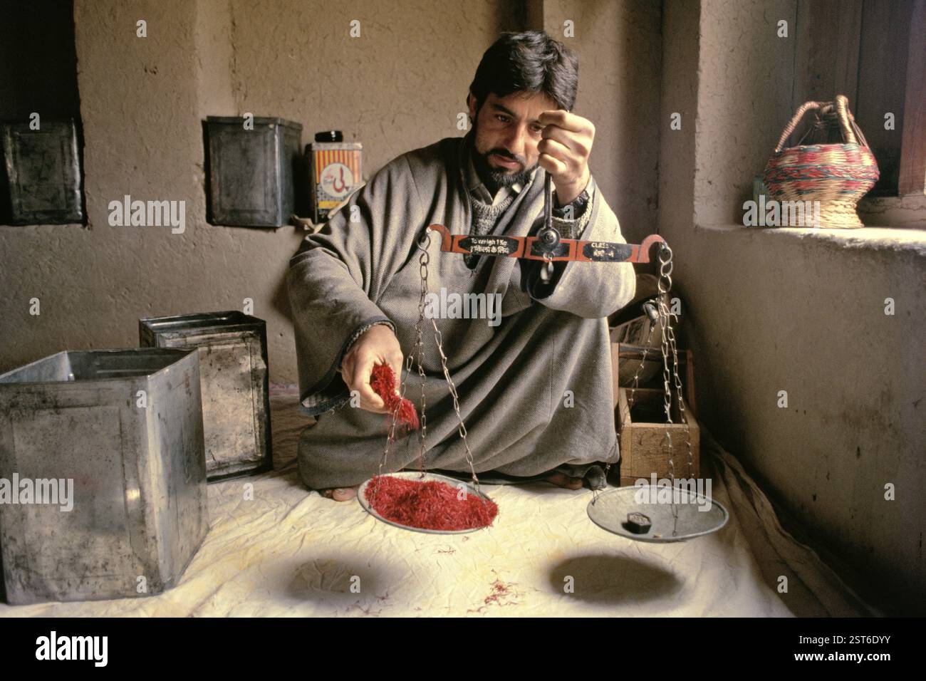 Spices, Weighing the dried pure saffron at the end of a laborious task ...