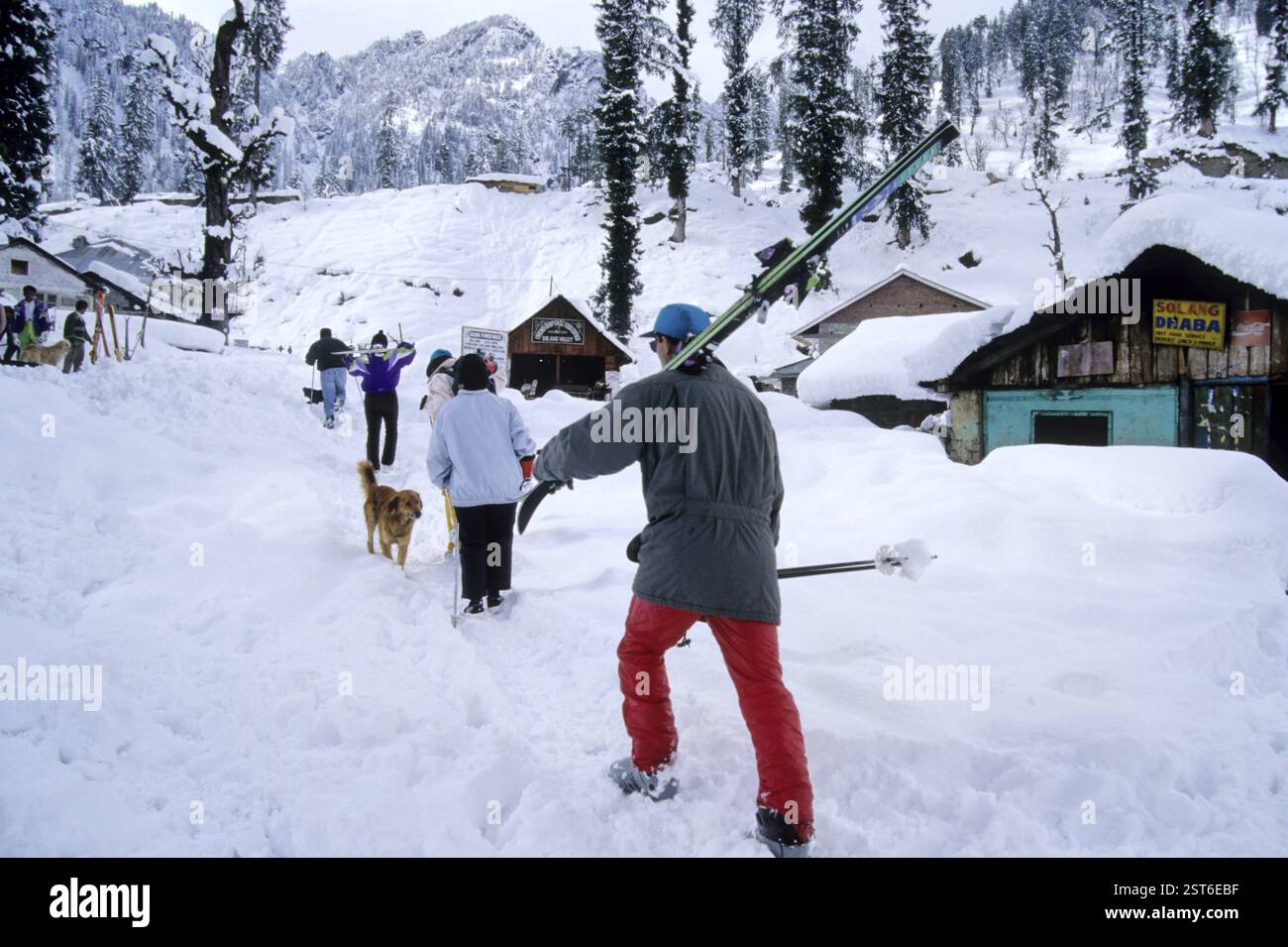 Skiing at Solang, Himachal Pradesh, India, Asia Stock Photo - Alamy