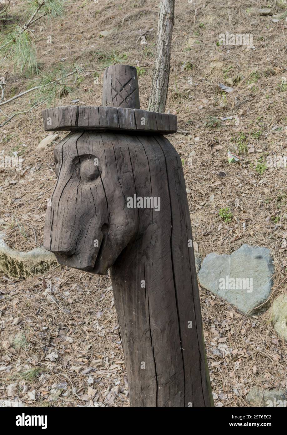 South korean people wear hi-res stock photography and images - Alamy