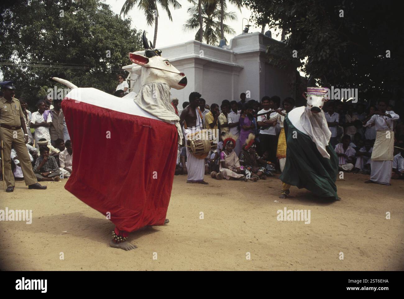 Folk dance, false bull dancers, madurai, tamil nadu, India, Asia Stock ...