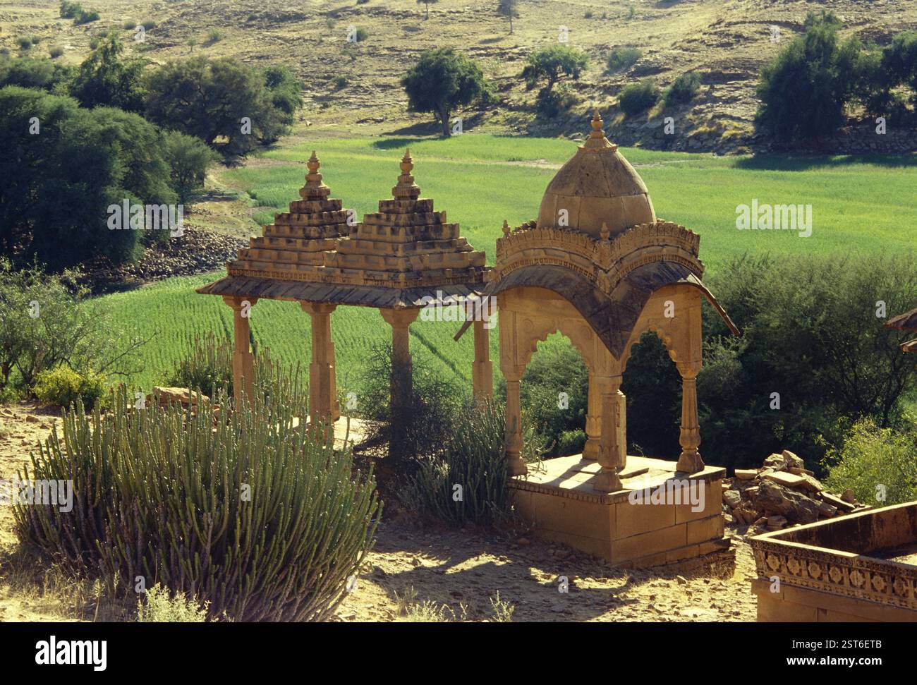 Bada Bagh royal cenotaphs at Jaisalmer, Rajasthan, India, Asia Stock ...