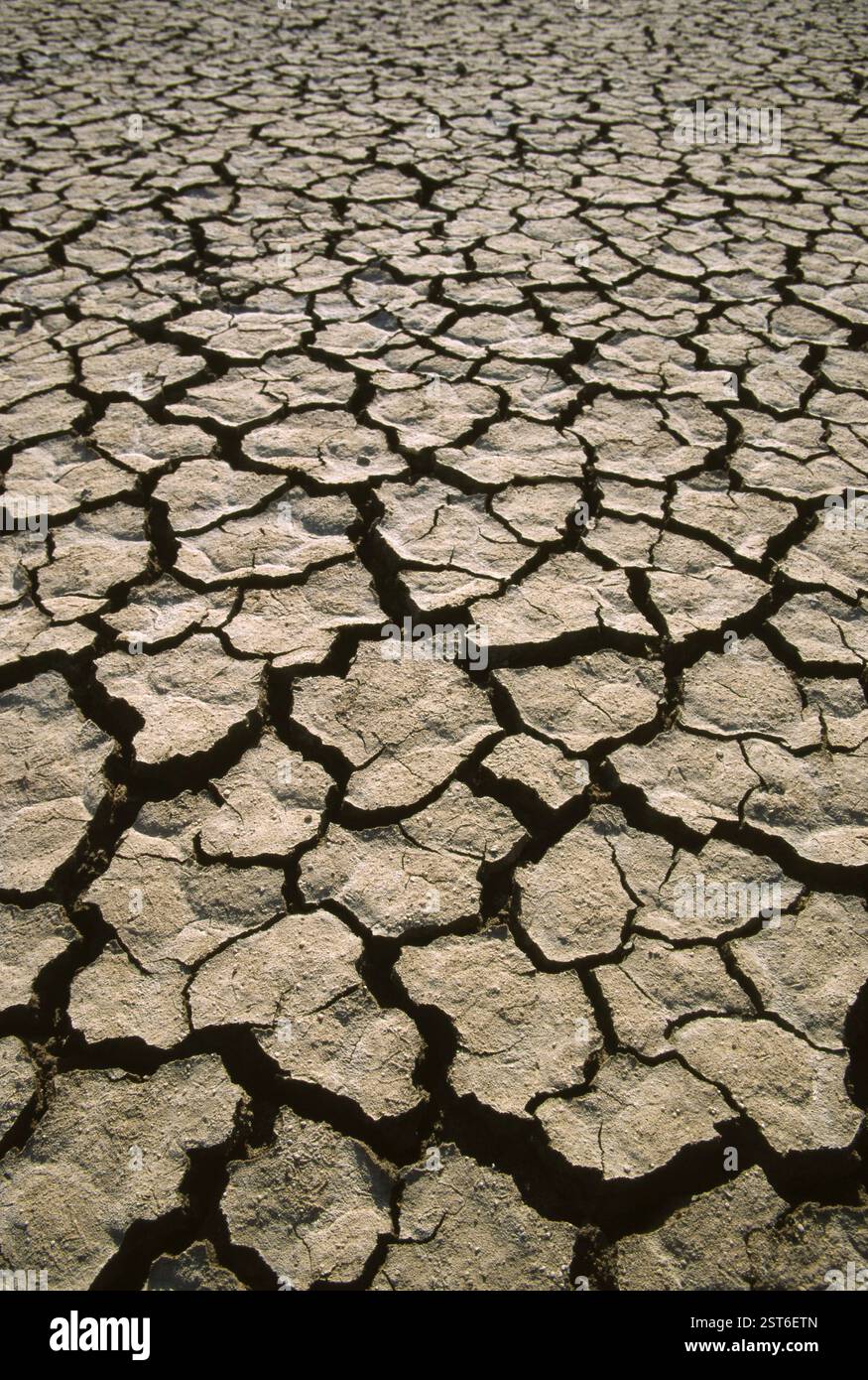 Cracked on earth, drought, india Stock Photo - Alamy