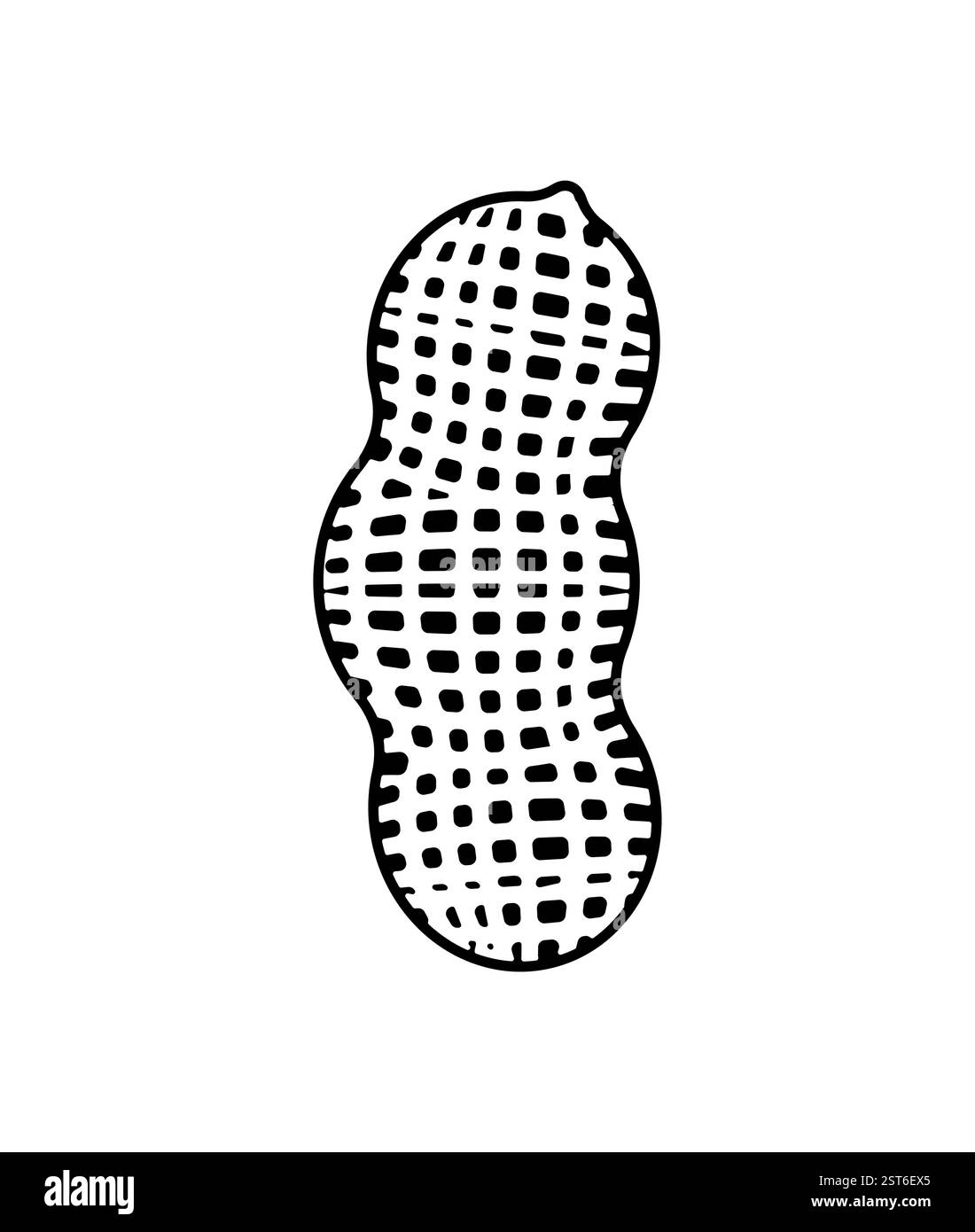 Groundnut seed Black and White Stock Photos & Images - Alamy