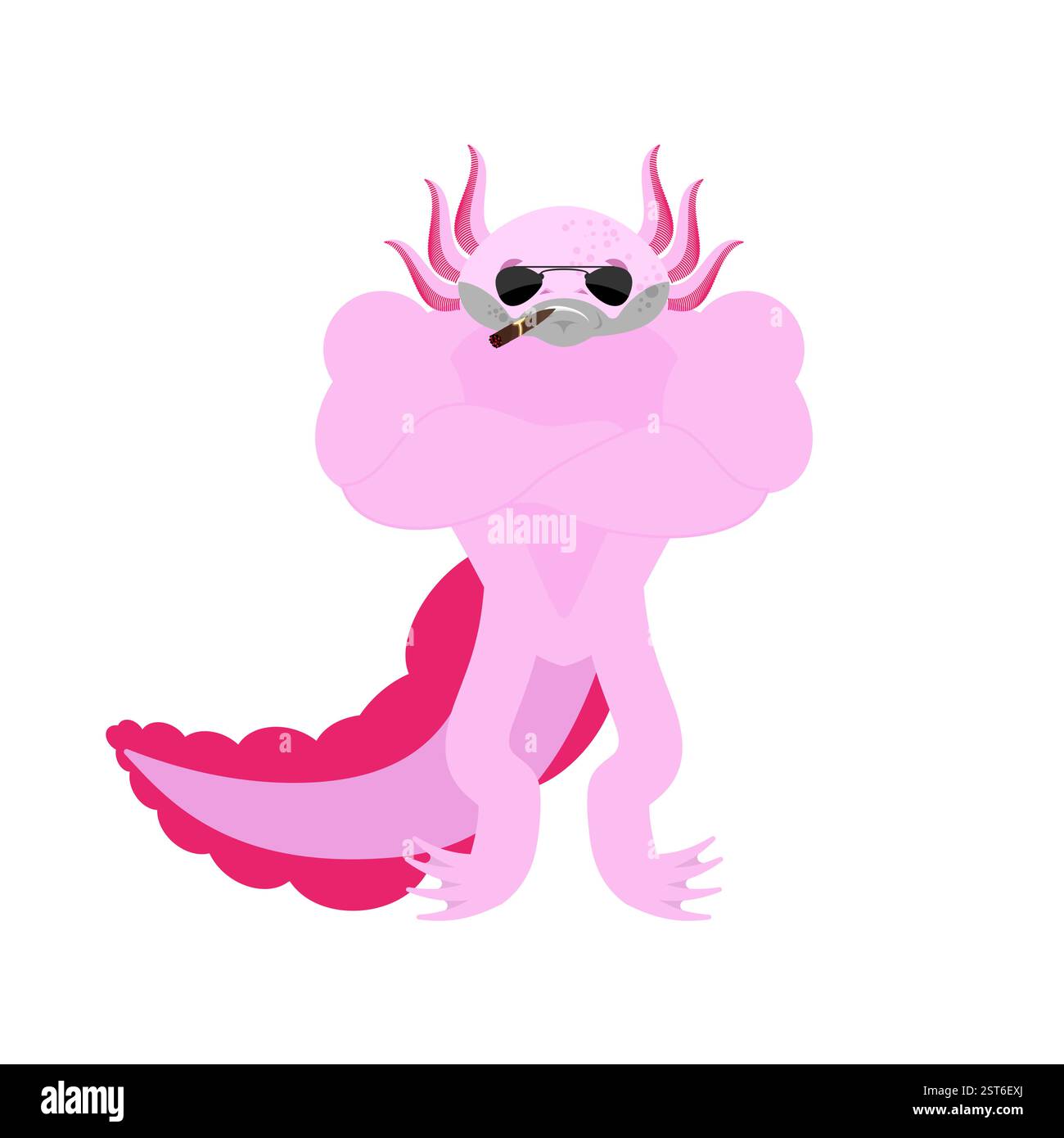 Axolotl reptile animal Cut Out Stock Images & Pictures - Alamy