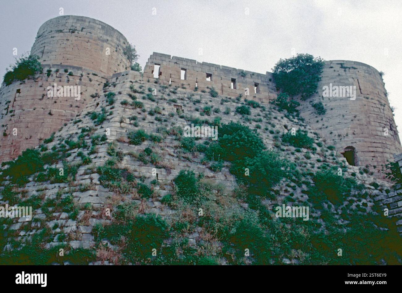 Archival homs hi-res stock photography and images - Alamy