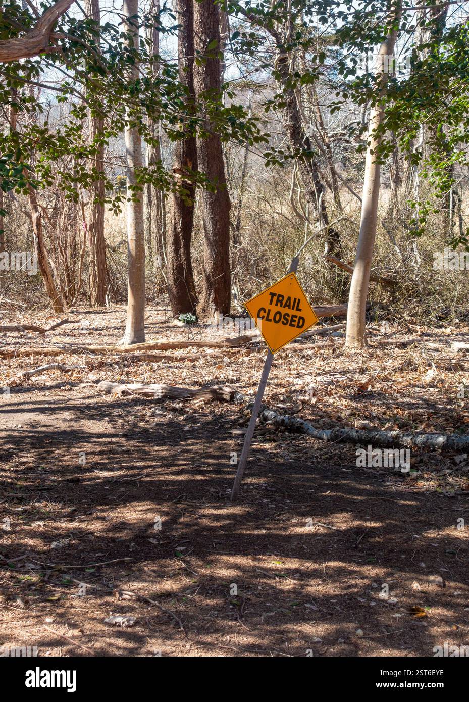 Trail Closed Warning Sign in woods on leaf covered path Stock Photo - Alamy