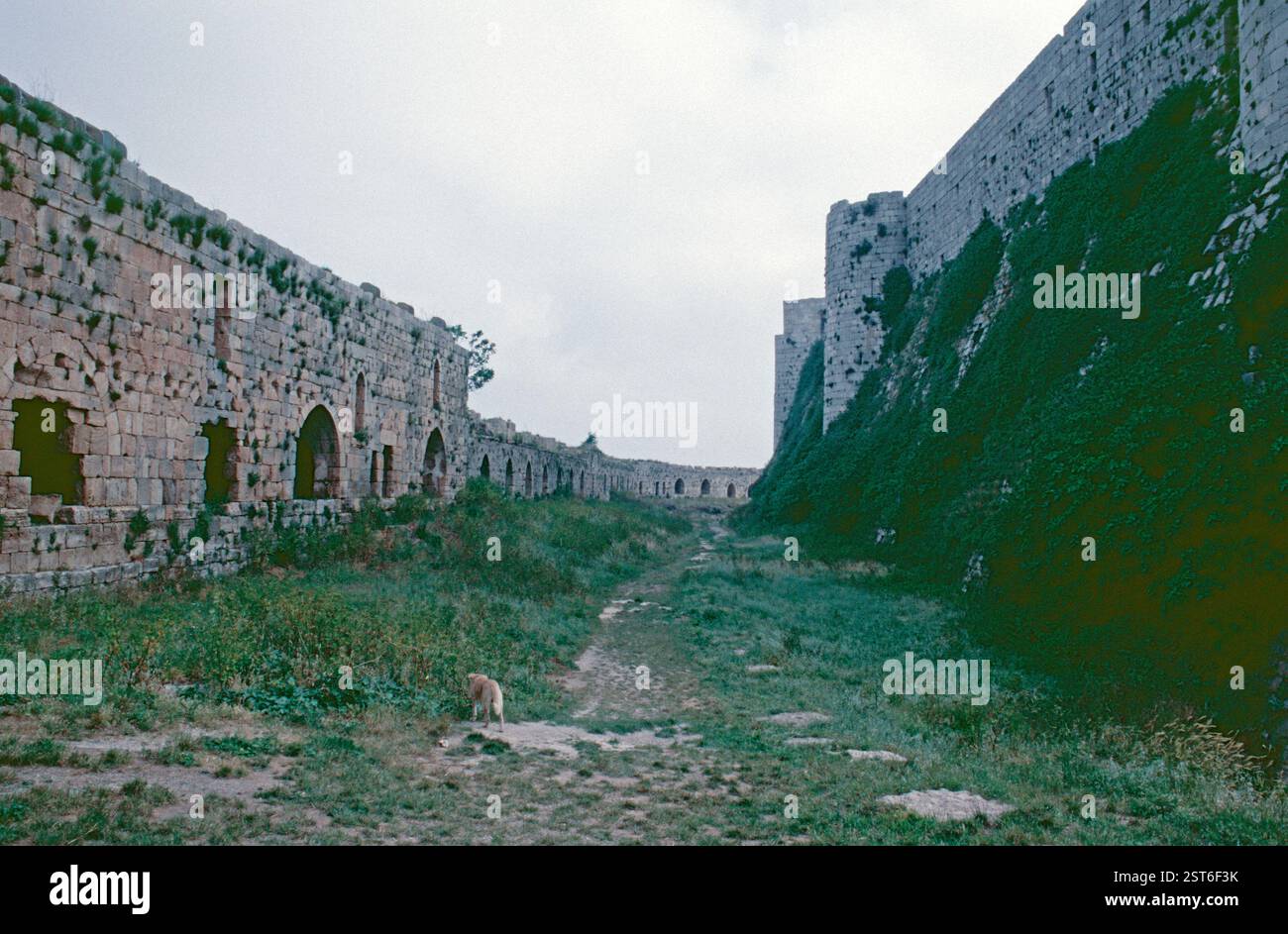 West wing, on the left the wall of the lower castle, on the right upper ...