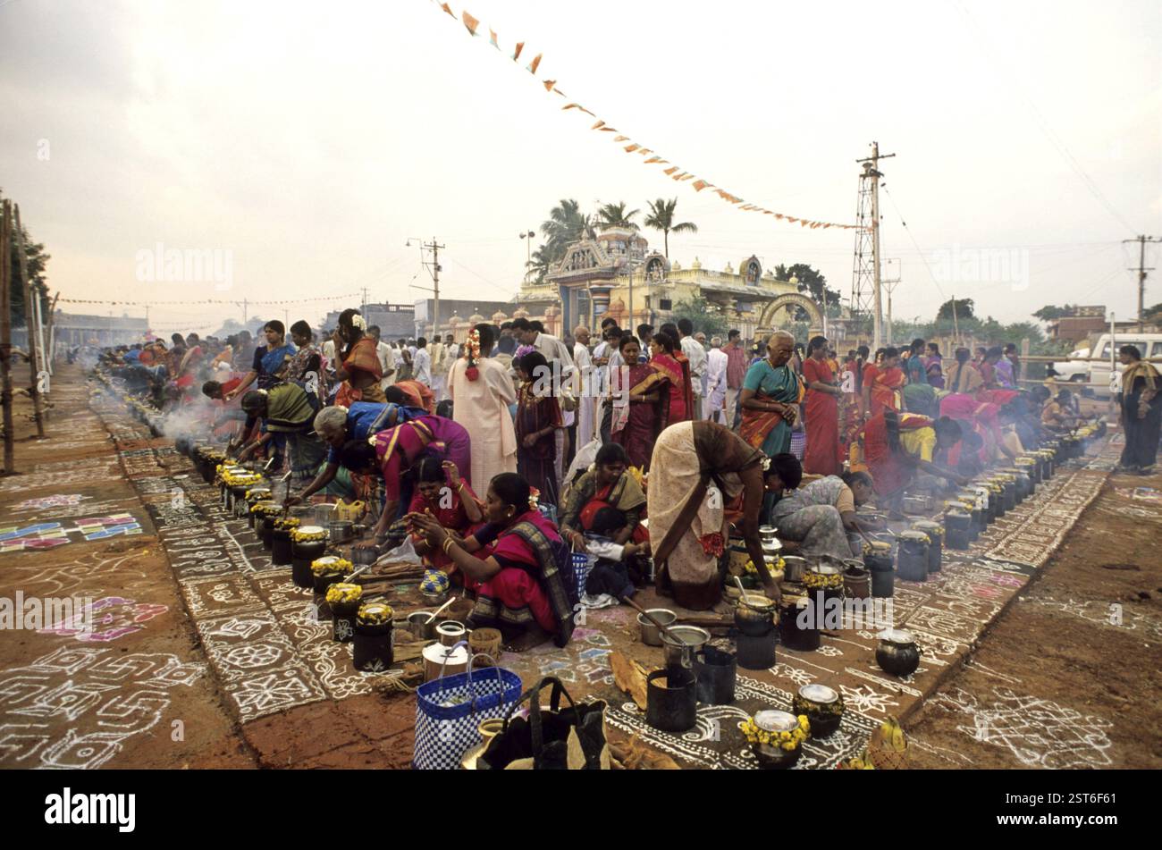 Pongal Festival, Tamil Nadu, India, Asia Stock Photo - Alamy