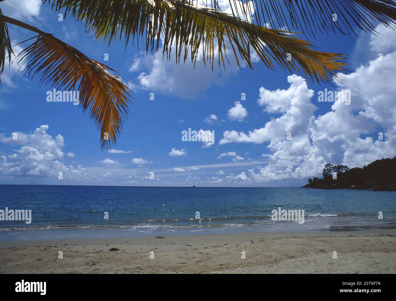 Andaman beach India, Asia Stock Photo - Alamy