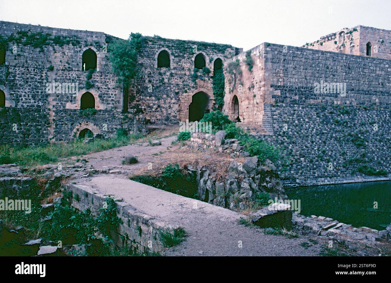 Archival homs hi-res stock photography and images - Alamy