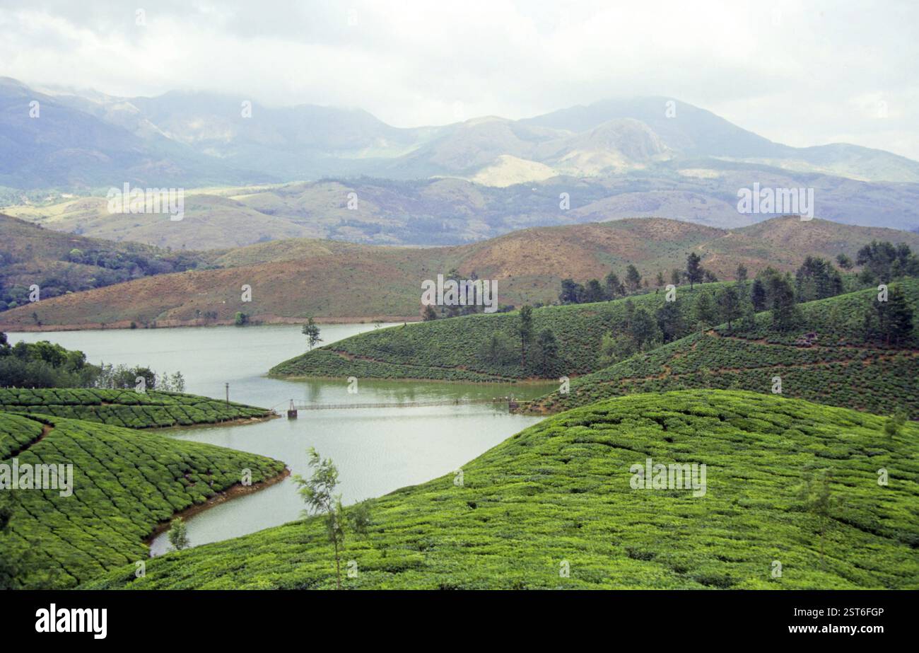 Madupetty River, Munnar, Kerala, India, Asia Stock Photo - Alamy