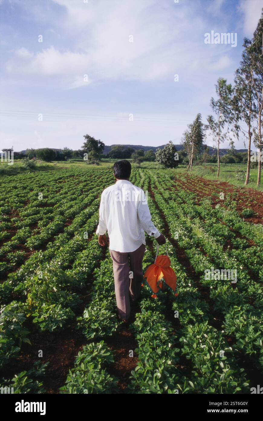Man holding pot of snake, Nagapanchami Festival of snake, cobra story ...