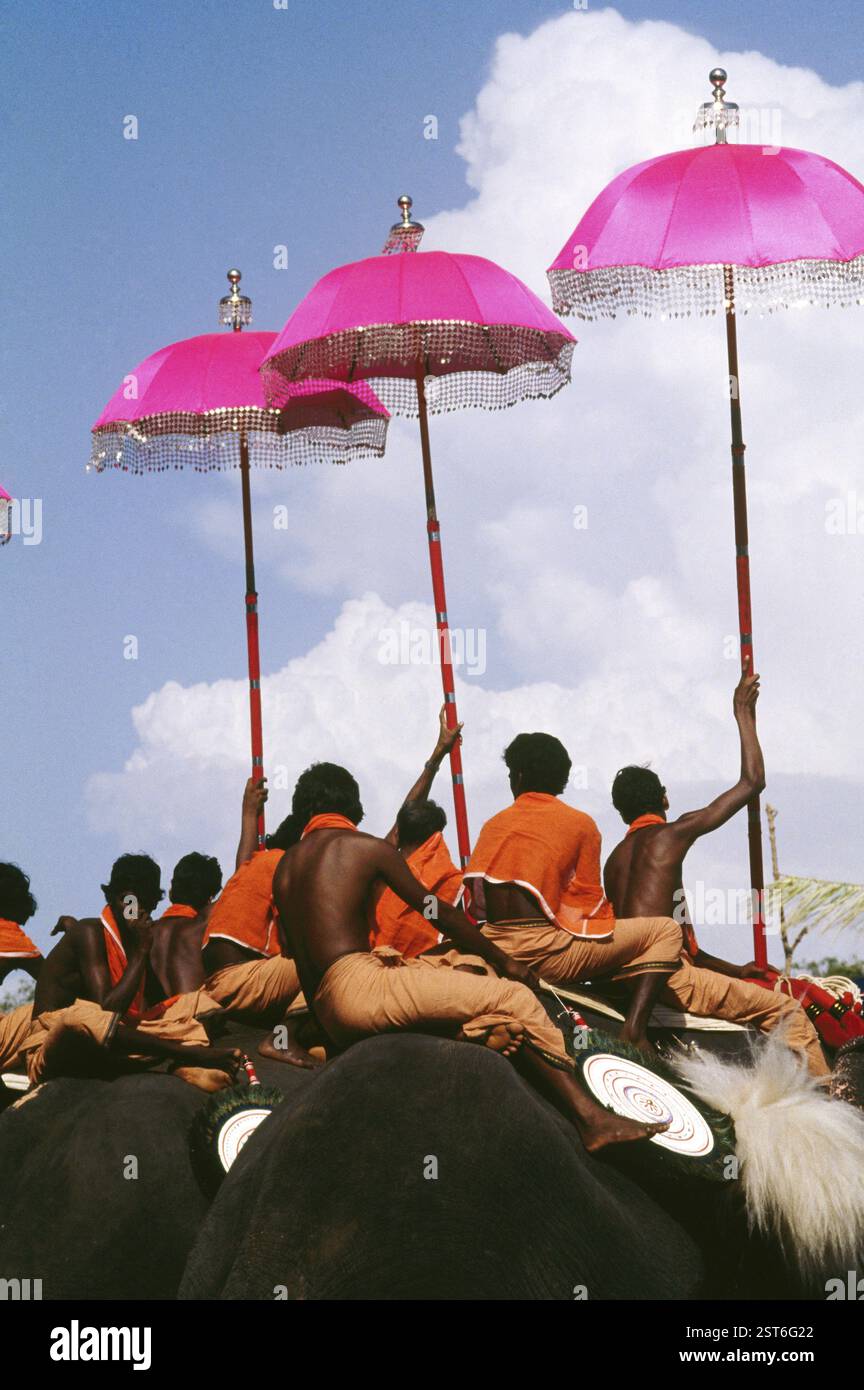 Trichurpooram pooram, men holding pink color of umbrellas on Elephants ...